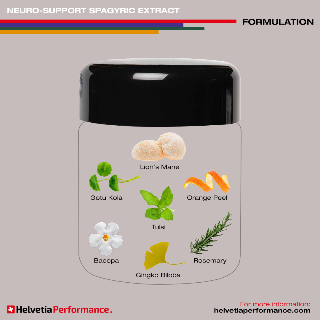 Neuro Support Supplement - Helvetia Performance – Helvetia Human ...